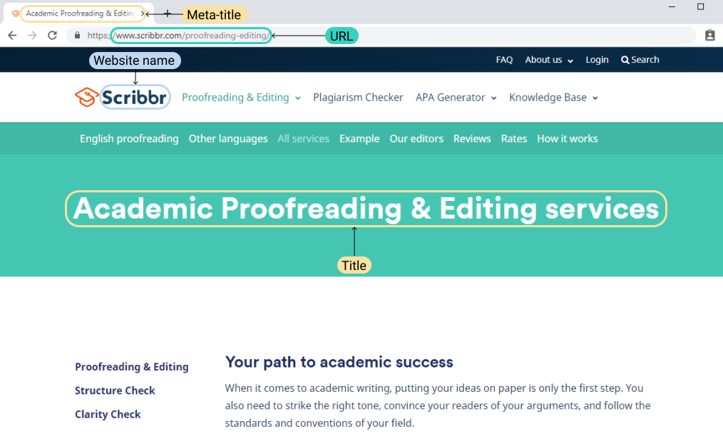How To Cite A Website In MLA In text And Works Cited Examples