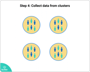 Cluster Sampling | A Simple Step-by-Step Guide with Examples