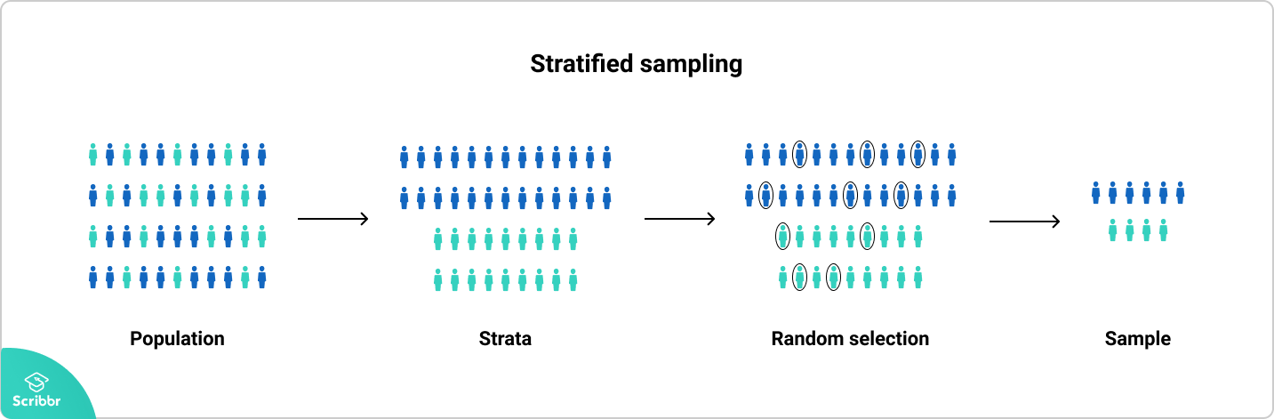 Stratified Sampling A Step by Step Guide With Examples