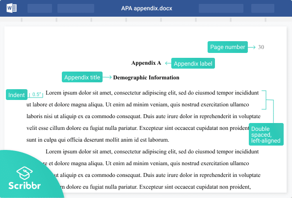 How To Create An APA Style Appendix Format Examples